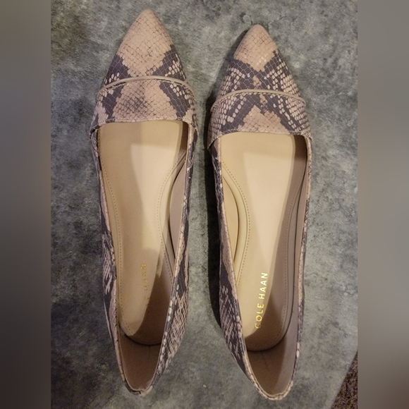 Cole Haan | Shoes | Cole Haan Womens Ellora Skimmer Ballet Flat Nwot 6b ...